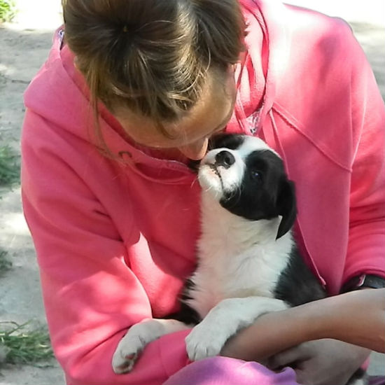 Support ROLDA shelters